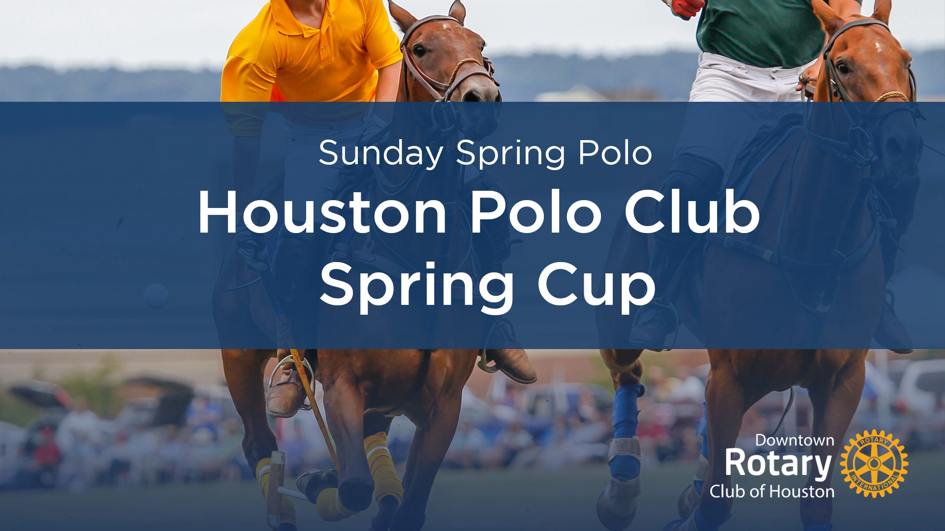 Sunday Spring Polo